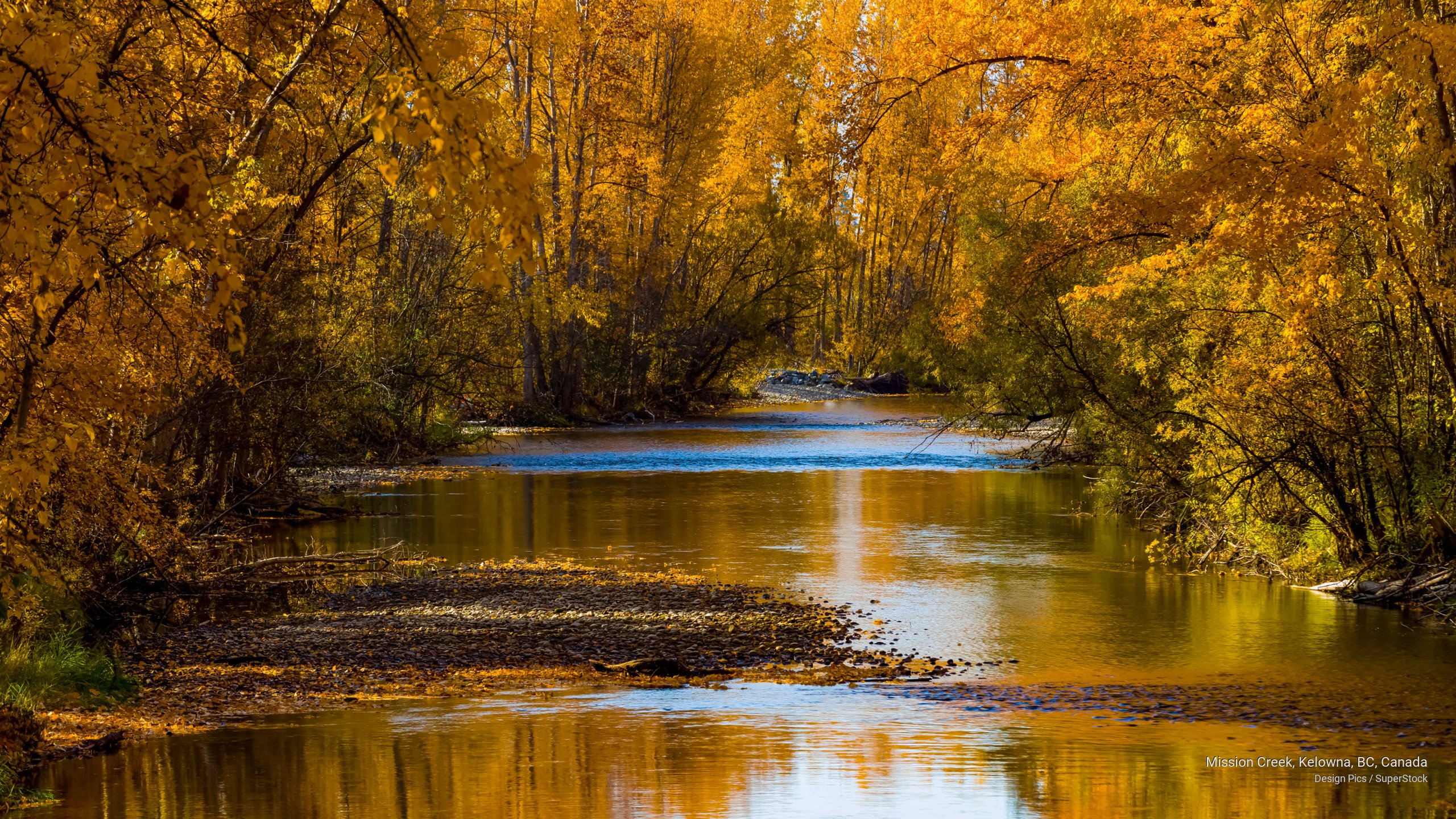 Webshots - Desktop Wallpaper and Screen Savers