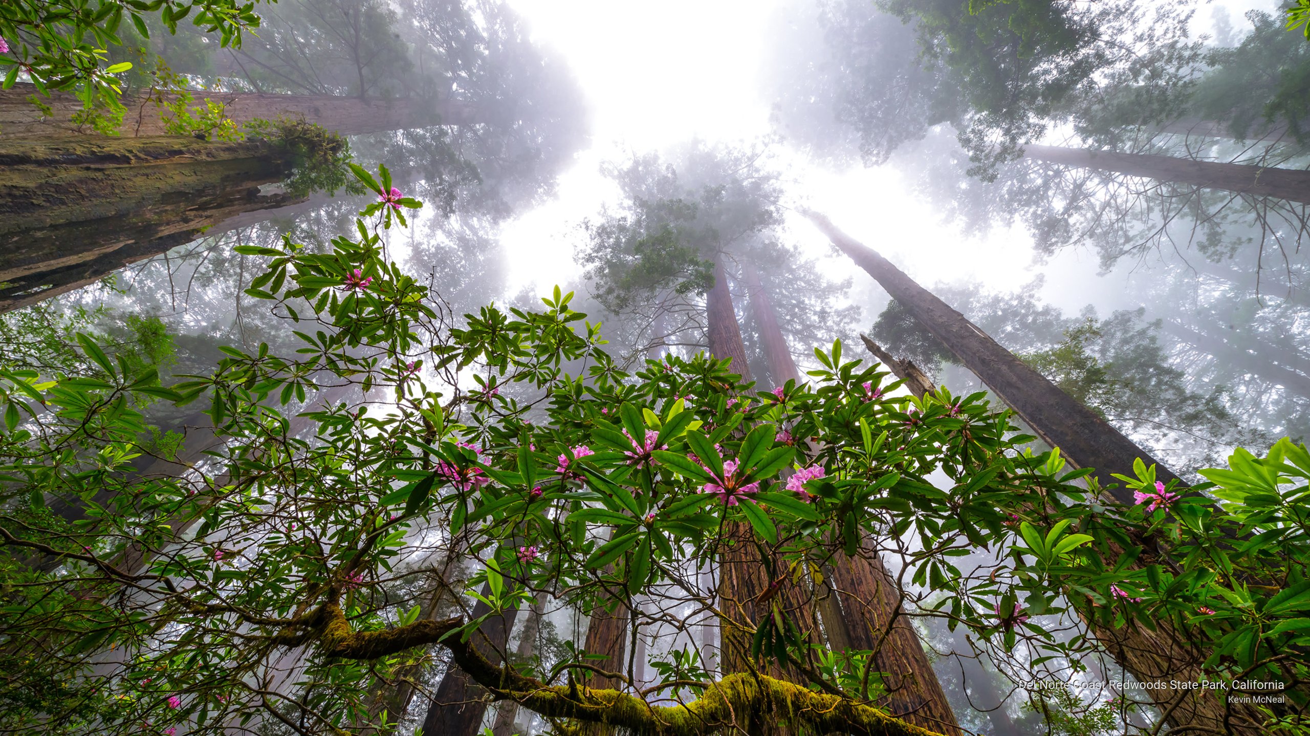 Webshots - Desktop Wallpaper and Screen Savers